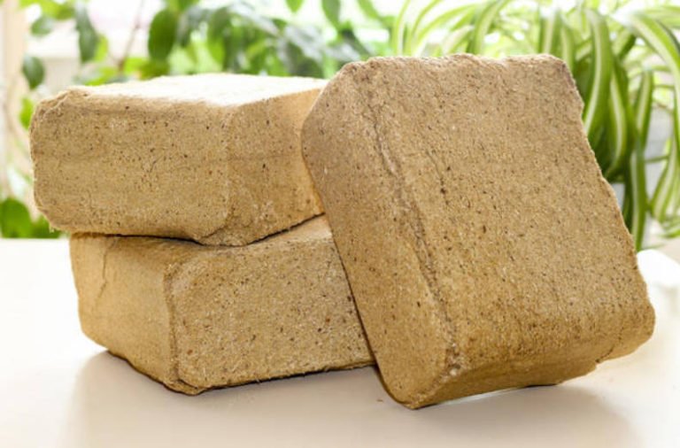 Pros and Cons of Various Types of Solid Fuel for Boilers: Wood and its ...