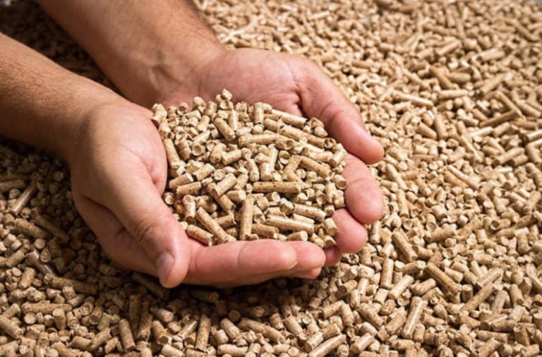 Pros and Cons of Various Types of Solid Fuel for Boilers: Wood and its ...