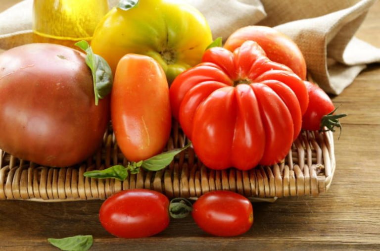 Tomatoes of Unusual Shape Ribbed and Long-Fruited - Best Landscape Ideas