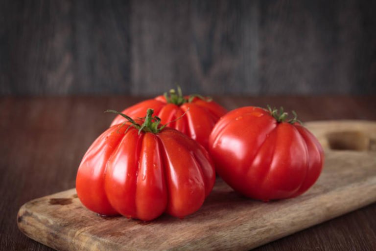 Tomatoes of Unusual Shape Ribbed and Long-Fruited