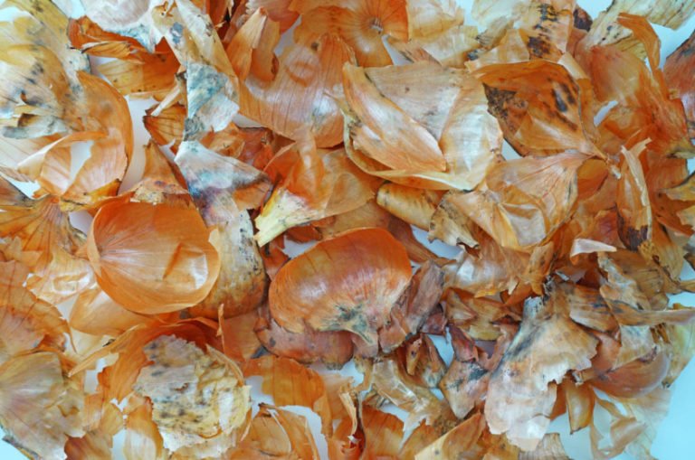 5 Ways to Use Onion Husks