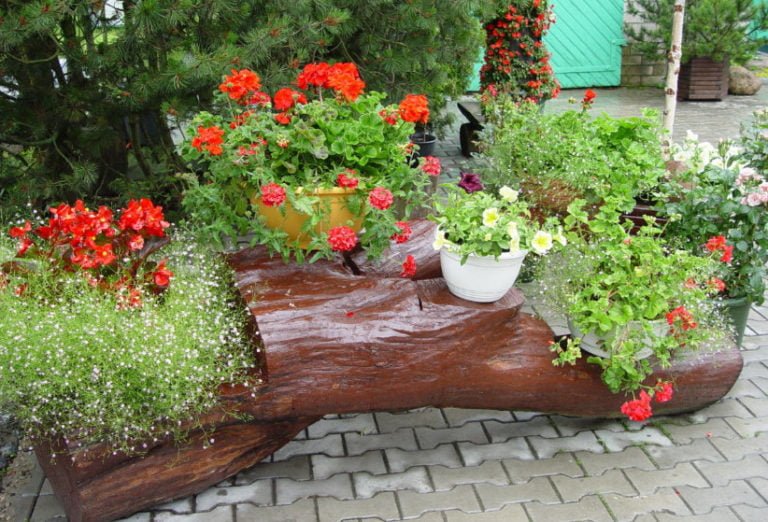 The Red Color in the Garden. The Main Thing - Do Not Overdo It.