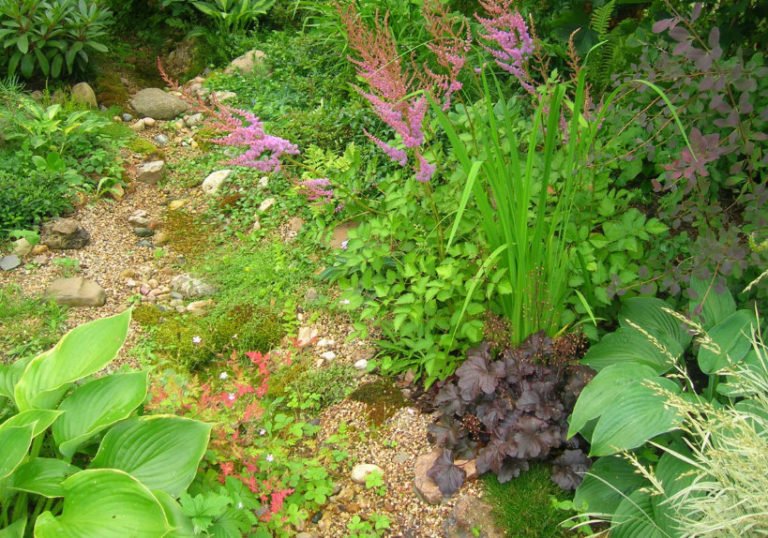 Step-by-Step Technology of Arrangement of the Stream On a Country Site ...