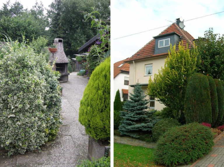 German Garden: History, Features and Development Options (Part 2)