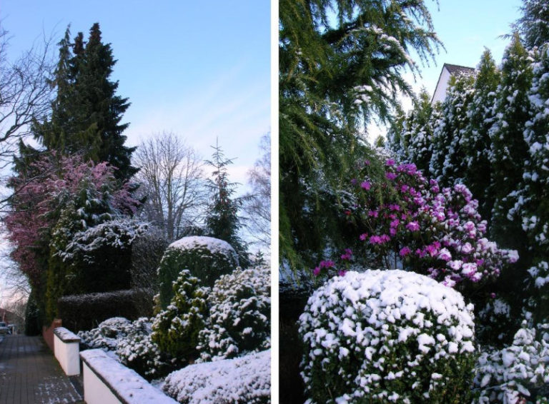 German Garden: History, Features and Development Options (Part 2)