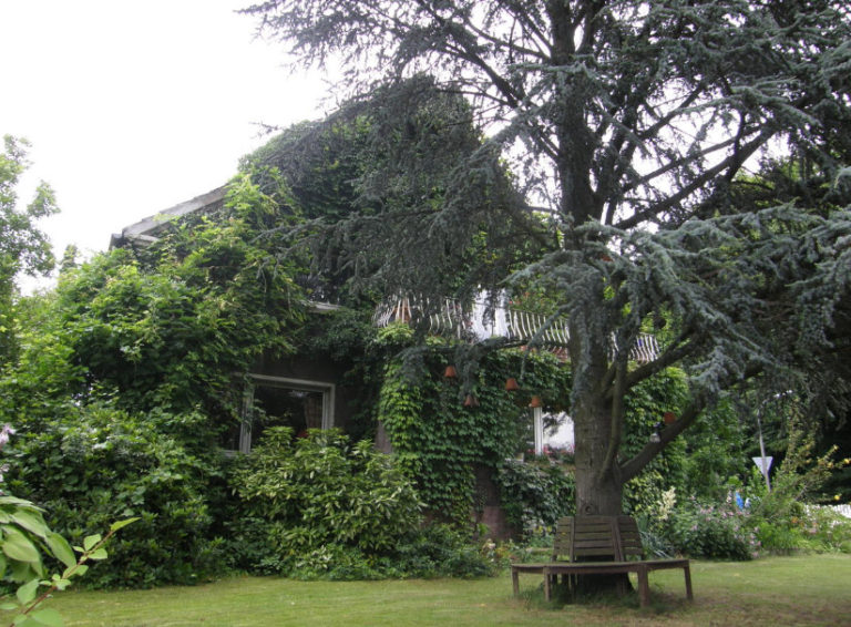 German Garden: History, Features and Development Options (Part 1)