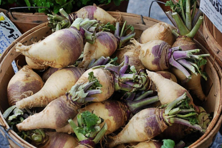 How To Plant And Care For Rutabaga