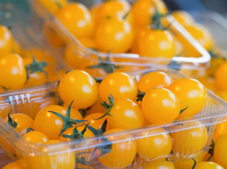 Cherry and Currant Tomatoes: 10 Best Varieties According to Gardeners