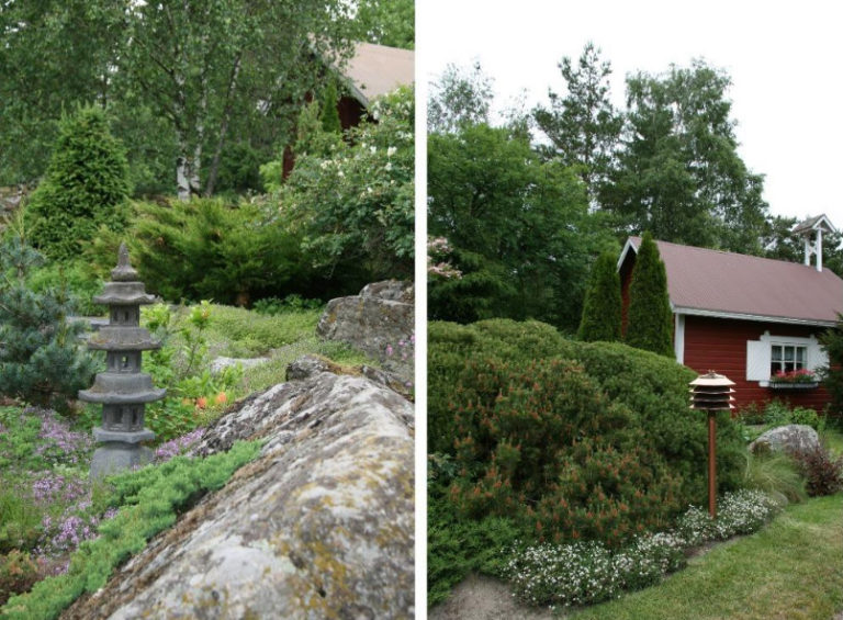 Finnish Garden: Features of Ornamental Gardening in Finland