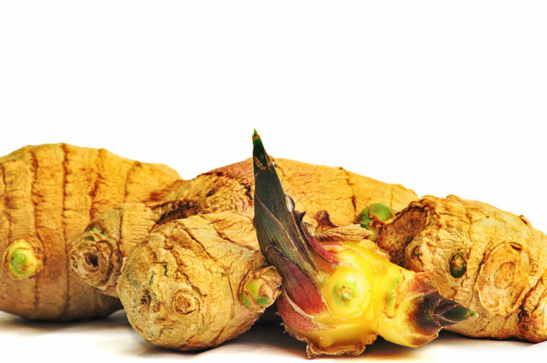 How To Plant And Care For Ginger