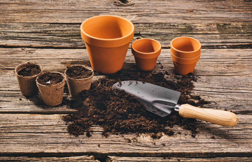 How to Grow Large Heads. The Secret Techniques of Care for Cabbage ...