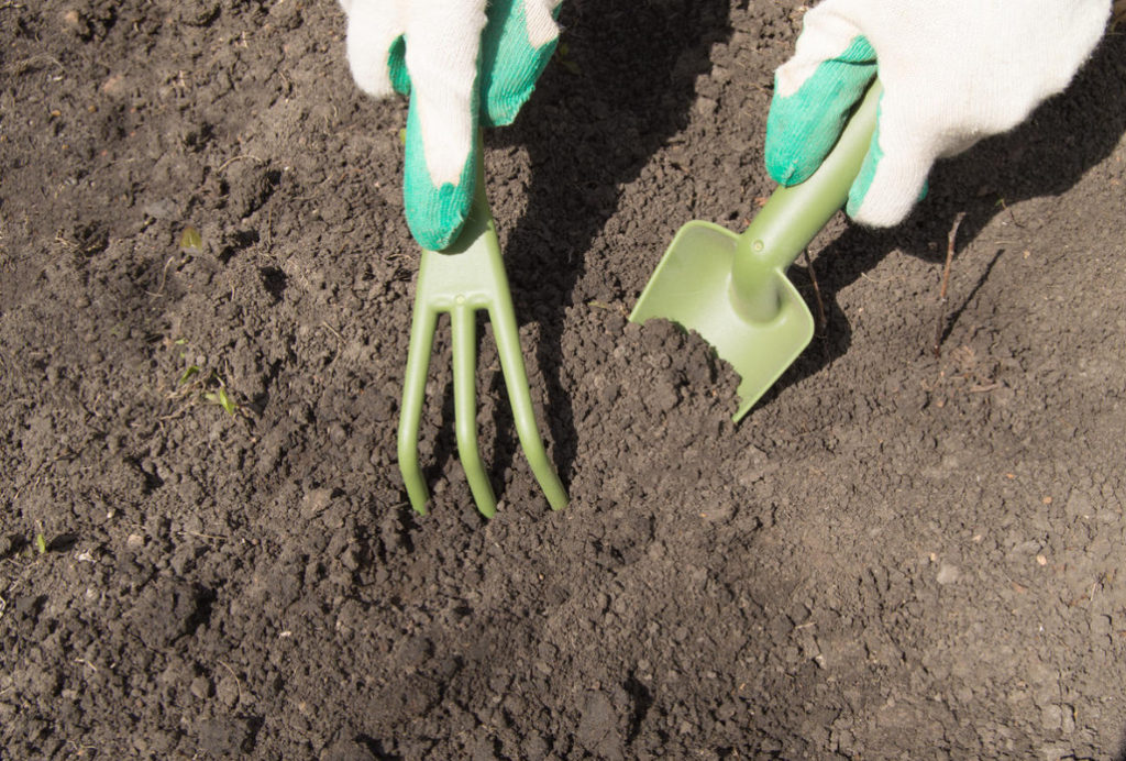 Rake: History, Types and Purpose, Interesting Facts