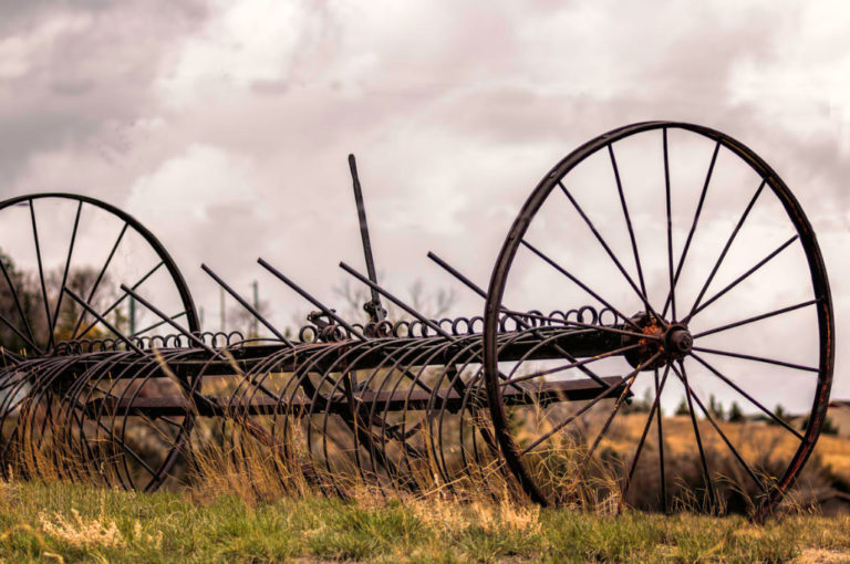 Rake: History, Types and Purpose, Interesting Facts