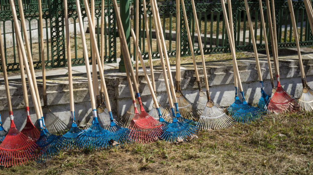 Rake: History, Types and Purpose, Interesting Facts