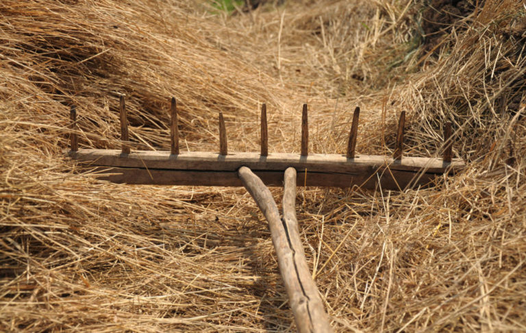 Rake: History, Types and Purpose, Interesting Facts