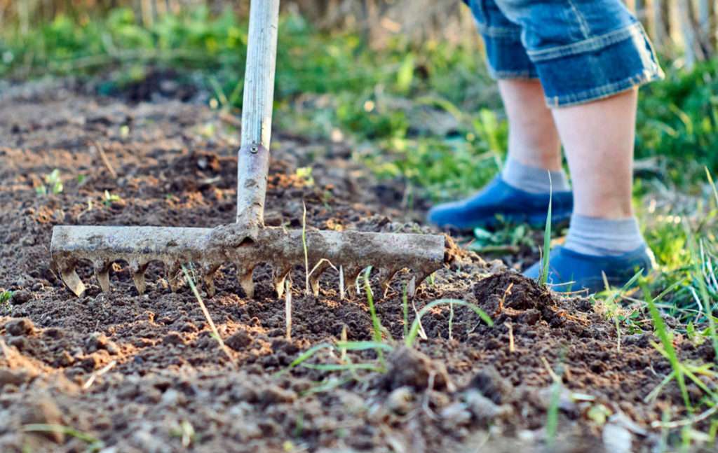 Rake: History, Types and Purpose, Interesting Facts