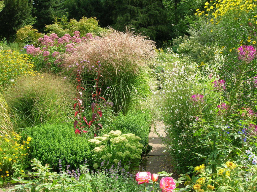 Garden Recipe Karl Forster