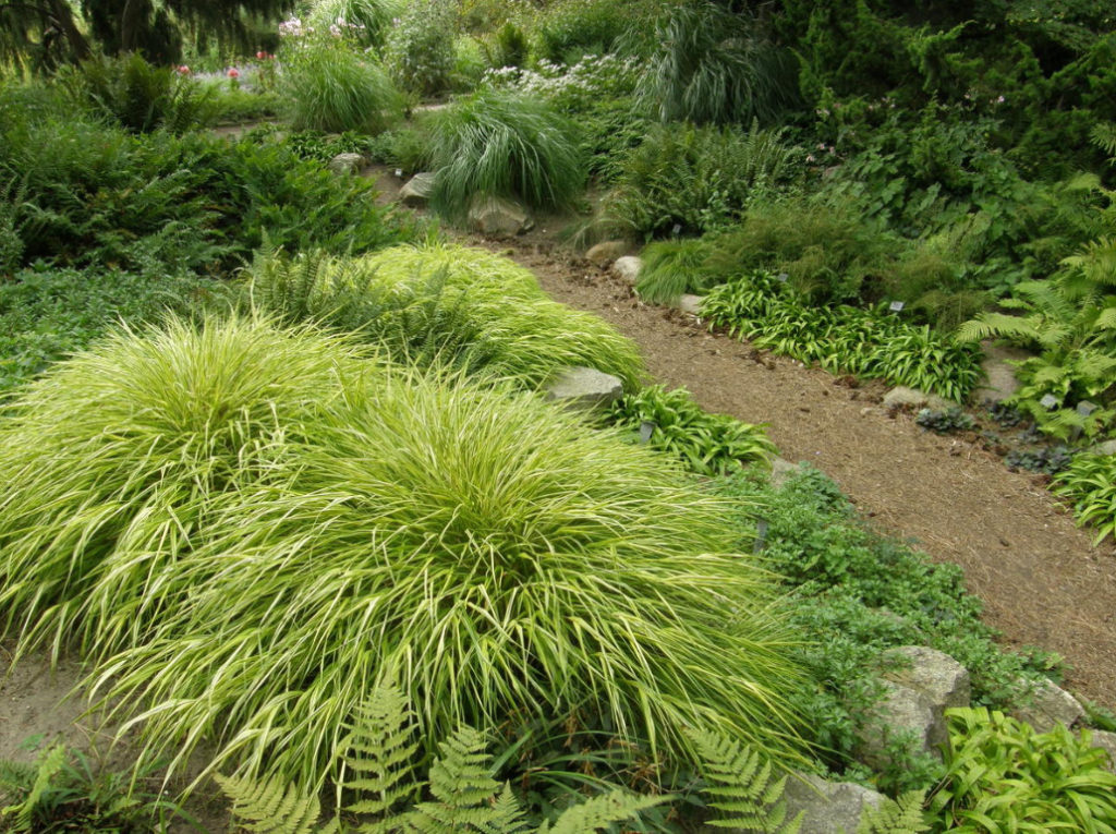 Garden Recipe Karl Forster