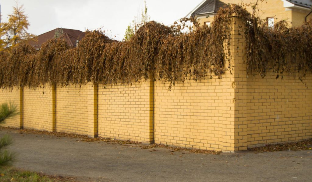 Fences Made of Stone And Brick: Materials, Options