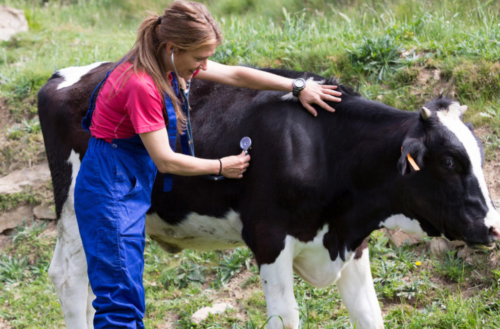 What Is Dangerous Manure?
