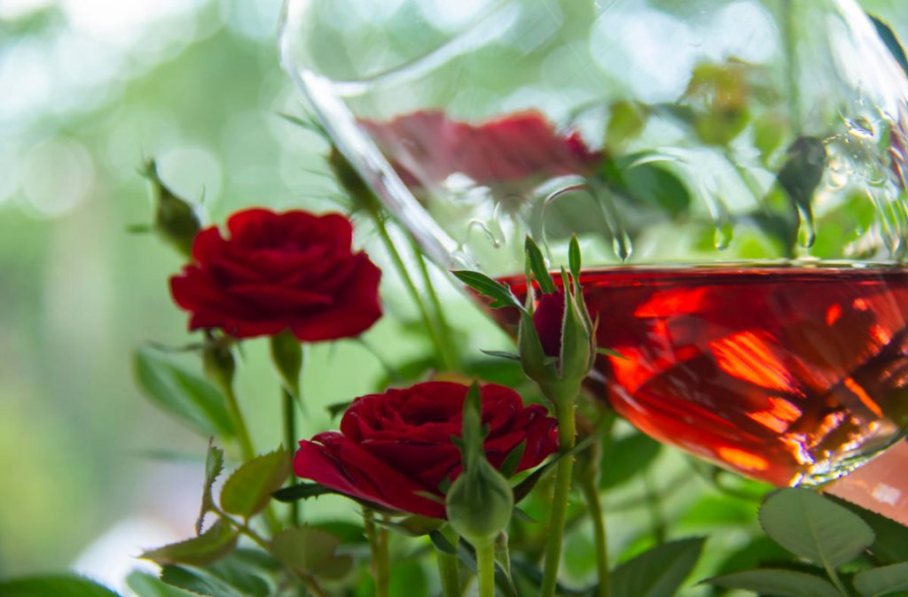 What To Make Flower Wine: 7 Best Aromatic Plants