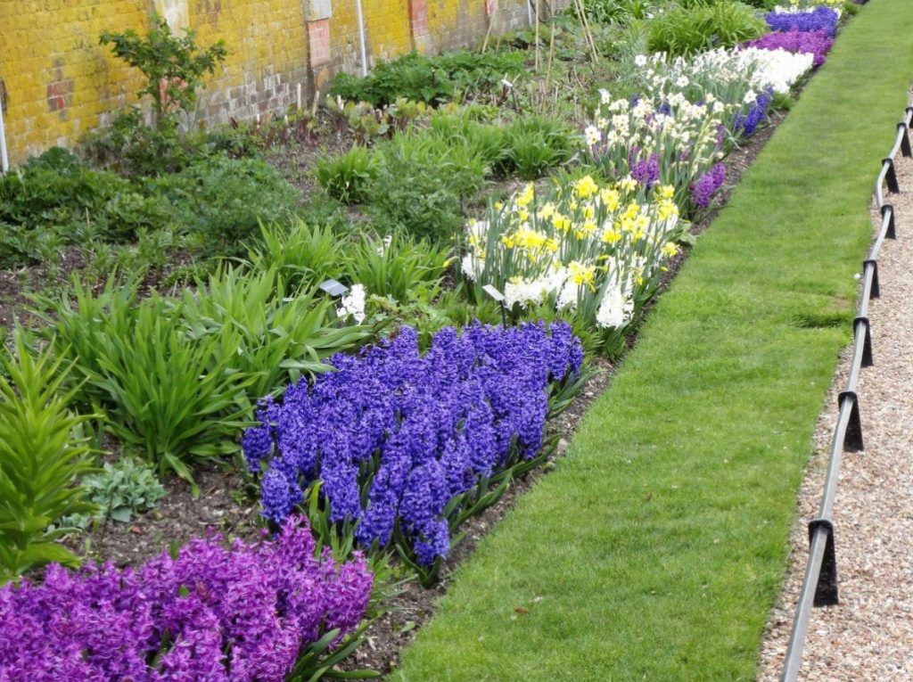 Compositions Of Bulbs For Flower Beds And Flower Beds: Planting ...