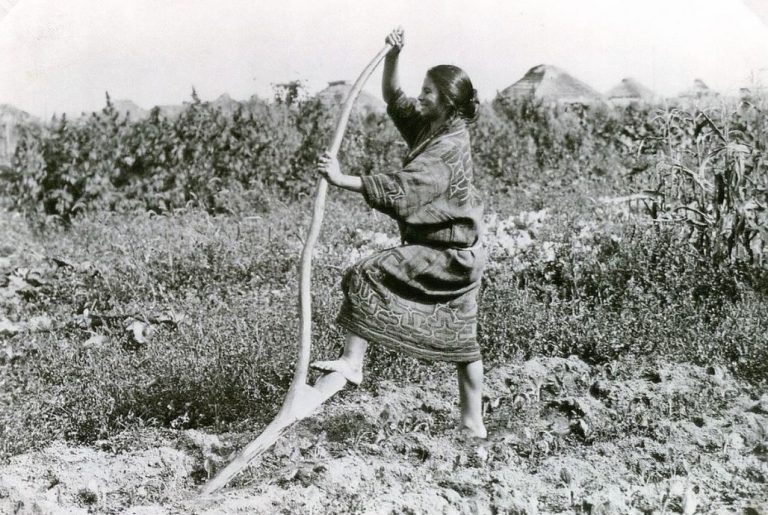 Hoe: History And Varieties of Tools