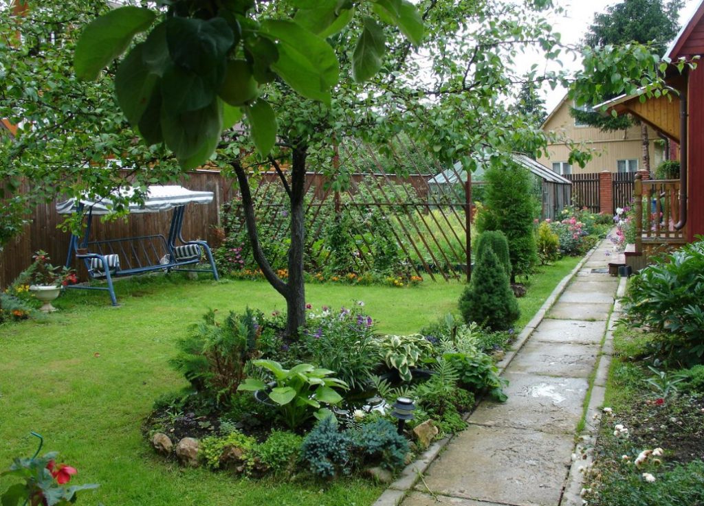 Flowers In The Orchard: What You Can Plant And How To Care For (Part 1)