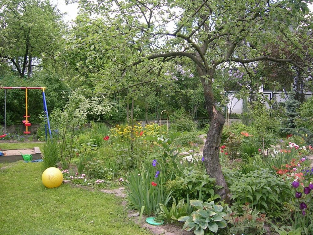 Flowers In The Orchard: What You Can Plant And How To Care For (Part 1)