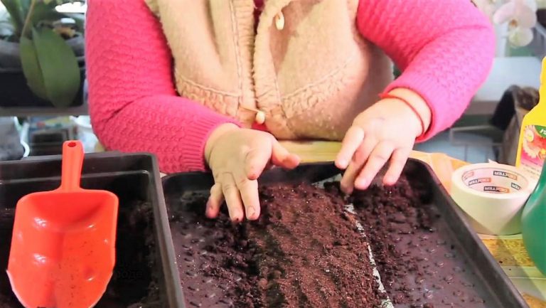 Seeding In Snails: We Understand In Detail The Most Compact Method Of ...