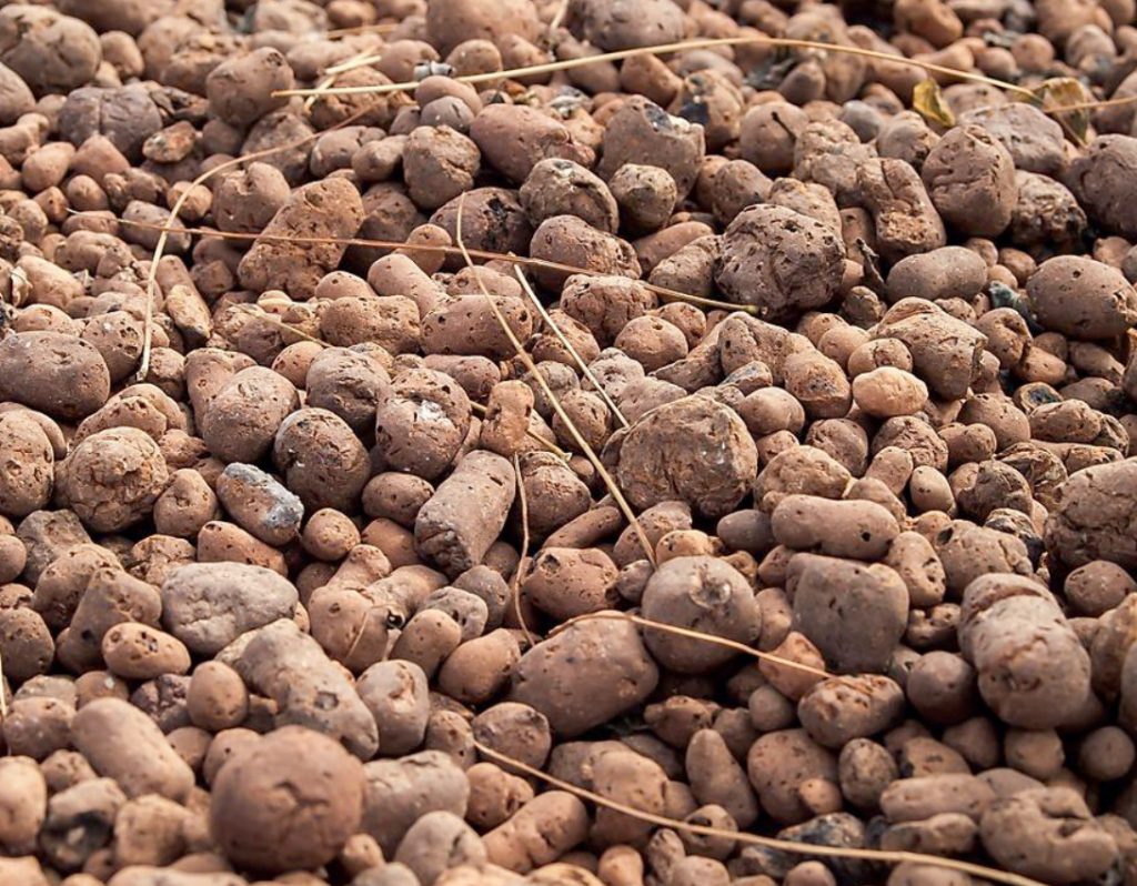 What Is What: a Brief Overview Of Substrates And Additives For Garden ...