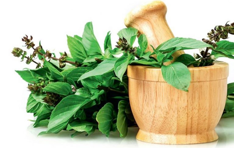 What Does Basil Smell Like? Choose The Most Flavorful Varieties