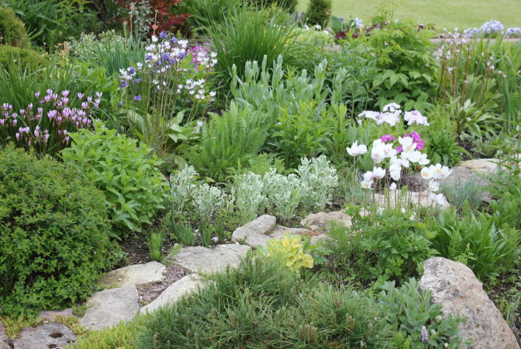 Man-Made Meadows: How To Create a Meadow Flower Garden From Perennials ...