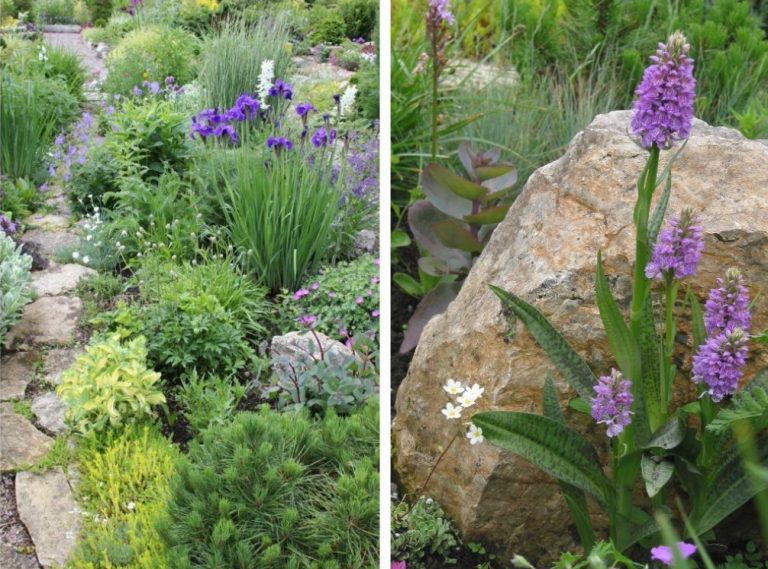 Man-Made Meadows: How To Create a Meadow Flower Garden From Perennials ...