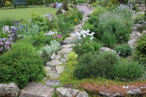 Man-Made Meadows: How To Create a Meadow Flower Garden From Perennials ...