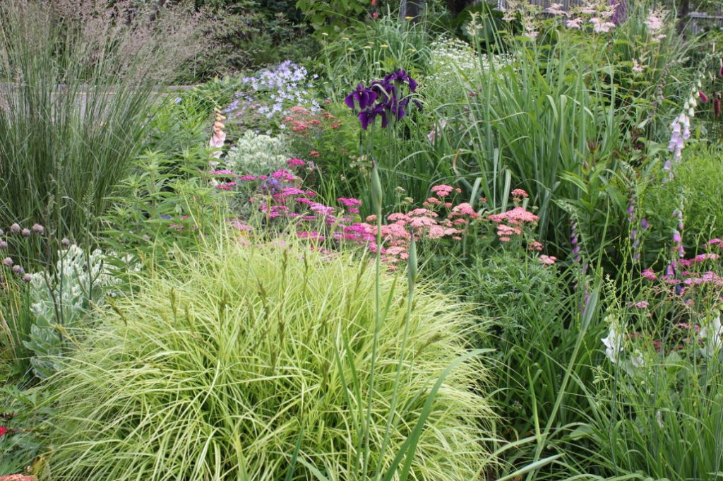 Man-Made Meadows: How To Create a Meadow Flower Garden From Perennials ...