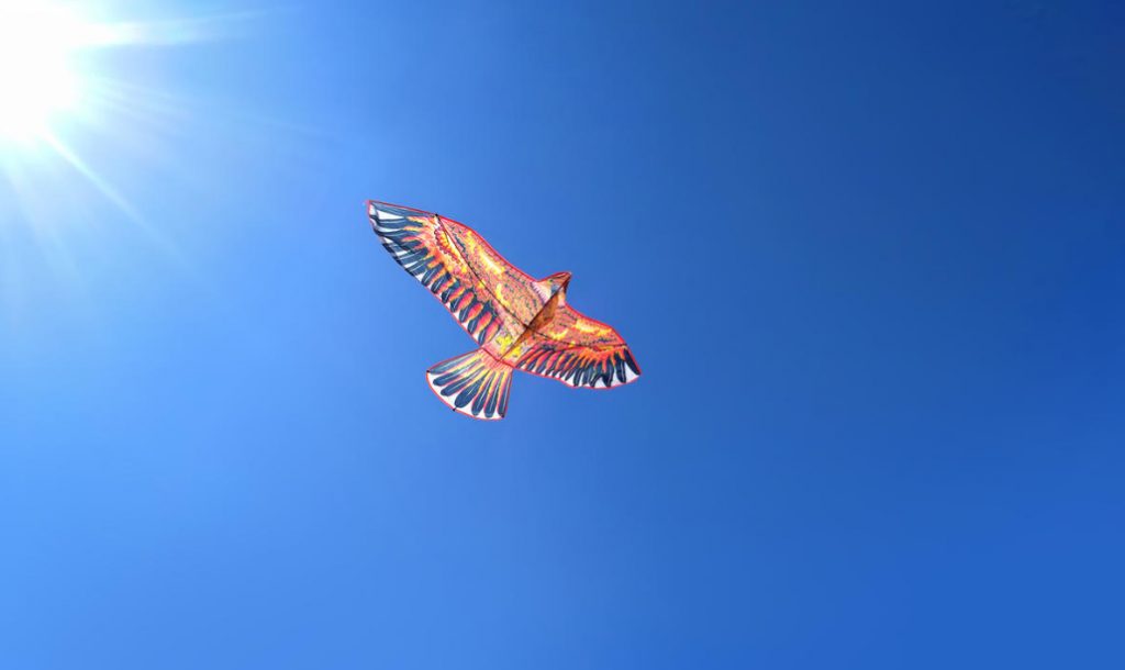 Scaring Birds: The Devices And Drugs To Protect The Garden