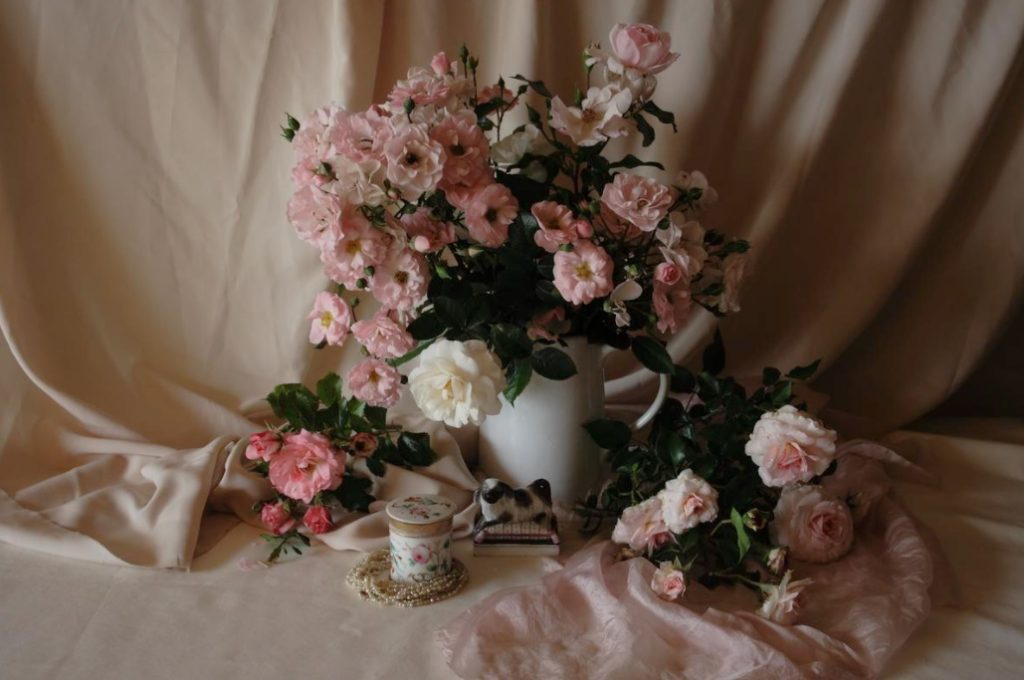 Combination Of Roses By Color: Choosing a Color Scheme For Garden ...