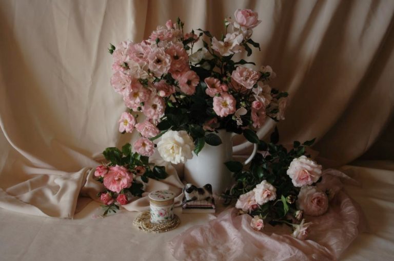 Combination Of Roses By Color: Choosing a Color Scheme For Garden ...