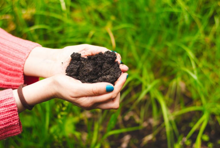 Humates: What Are Their Benefits And How Do They Work - Best Landscape ...