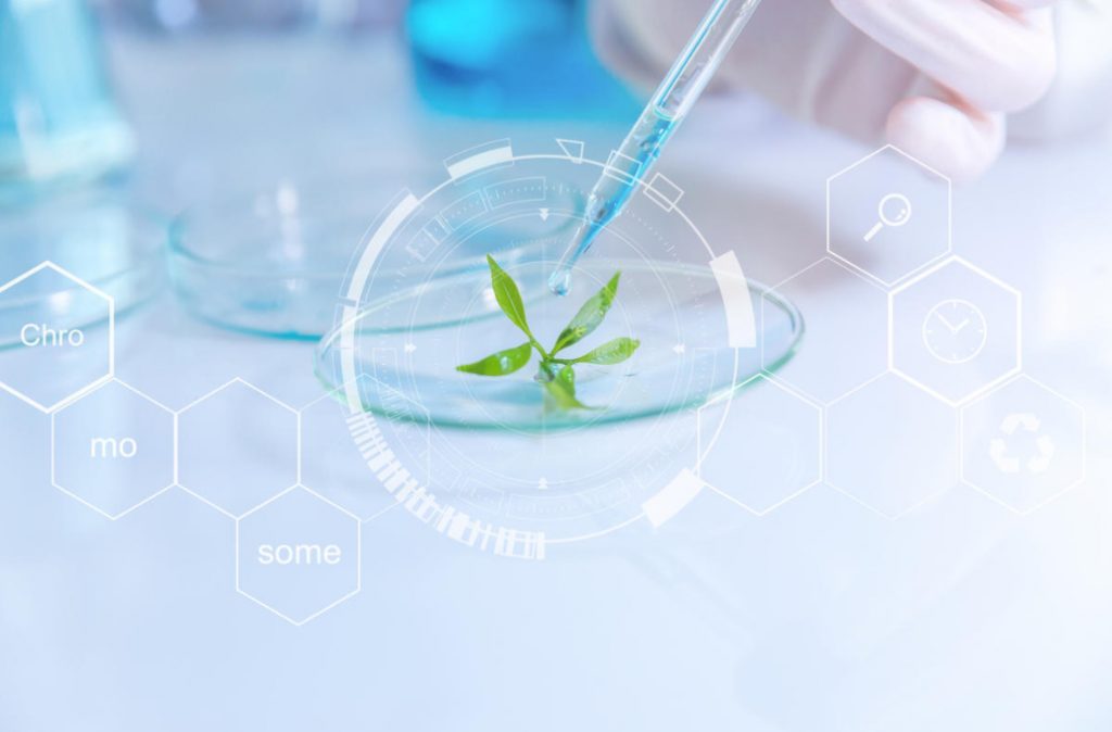 Humates: What Are Their Benefits And How Do They Work