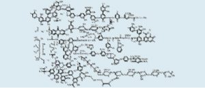 Humates: What Are Their Benefits And How Do They Work