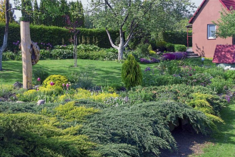 What To Plant Around The Perimeter Of The Plot Depending On Its Size ...