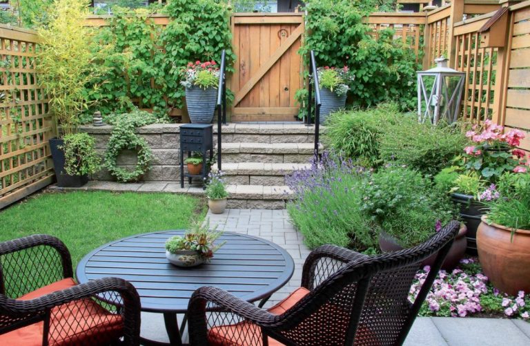 What To Plant Around The Perimeter Of The Plot Depending On Its Size