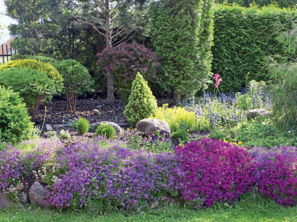 What To Plant Around The Perimeter Of The Plot Depending On Its Size