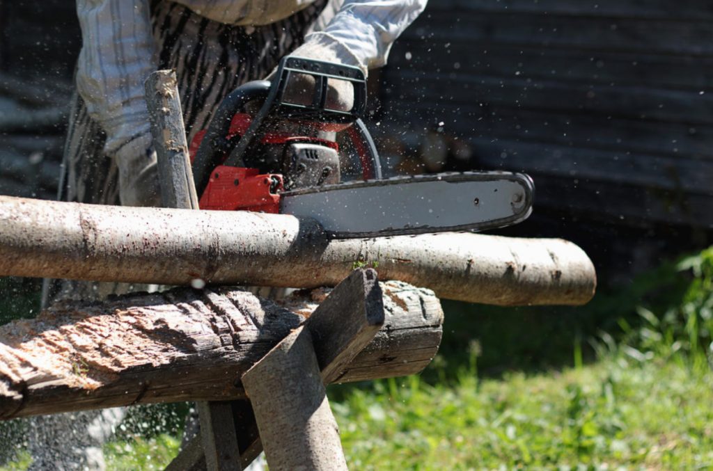 How To Safely And Correctly Cut Down a Tree With a Chainsaw