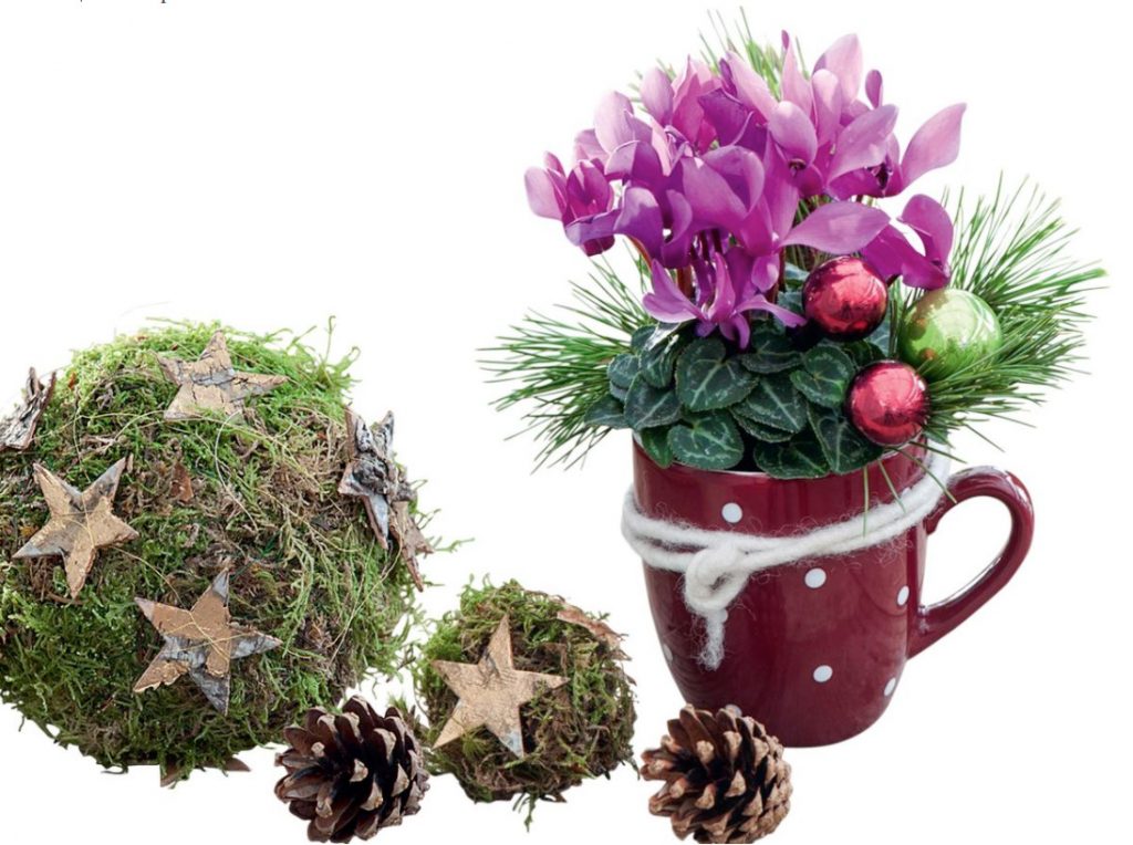 Magical Transformation: 10 New Year's Decor Ideas For The Terrace