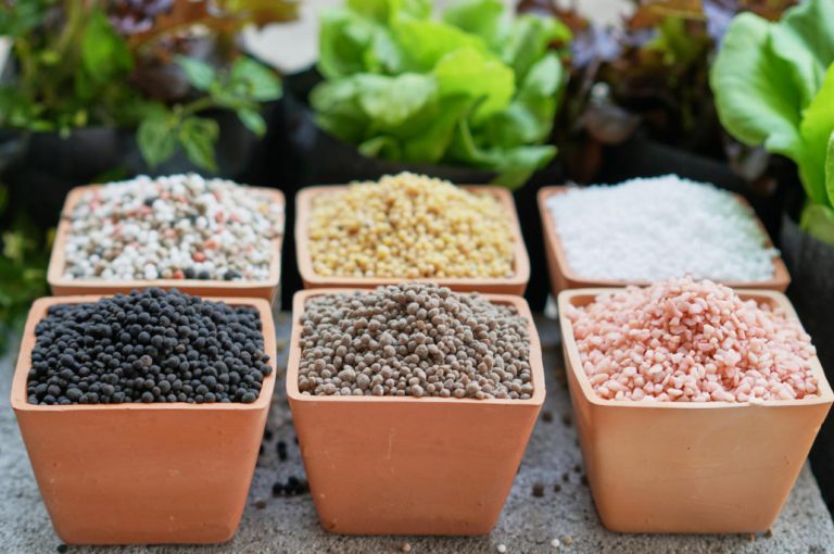 Fertilizers In Chelated Form: What It Is, How To Choose And Apply It ...