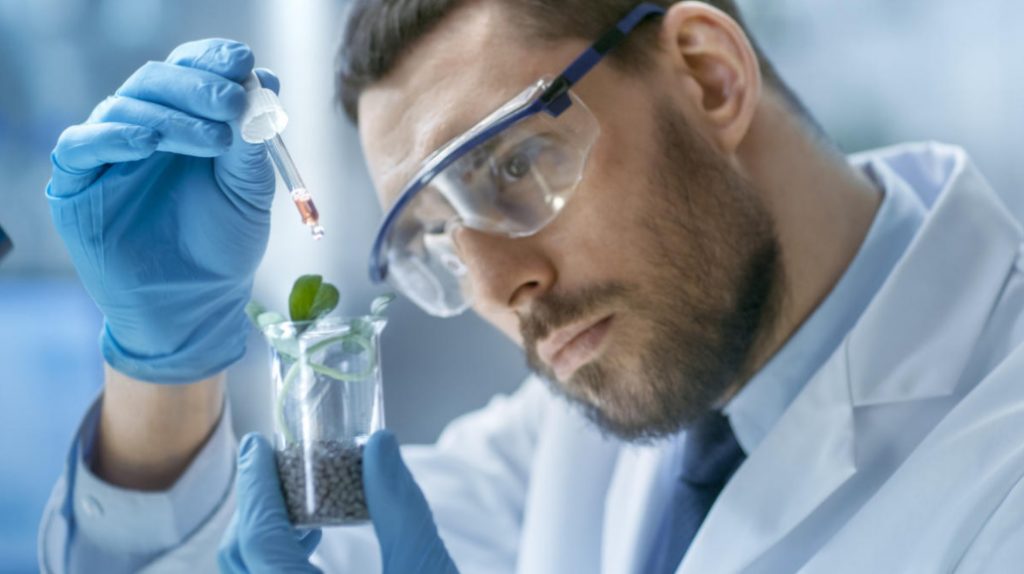 Fertilizers In Chelated Form: What It Is, How To Choose And Apply It