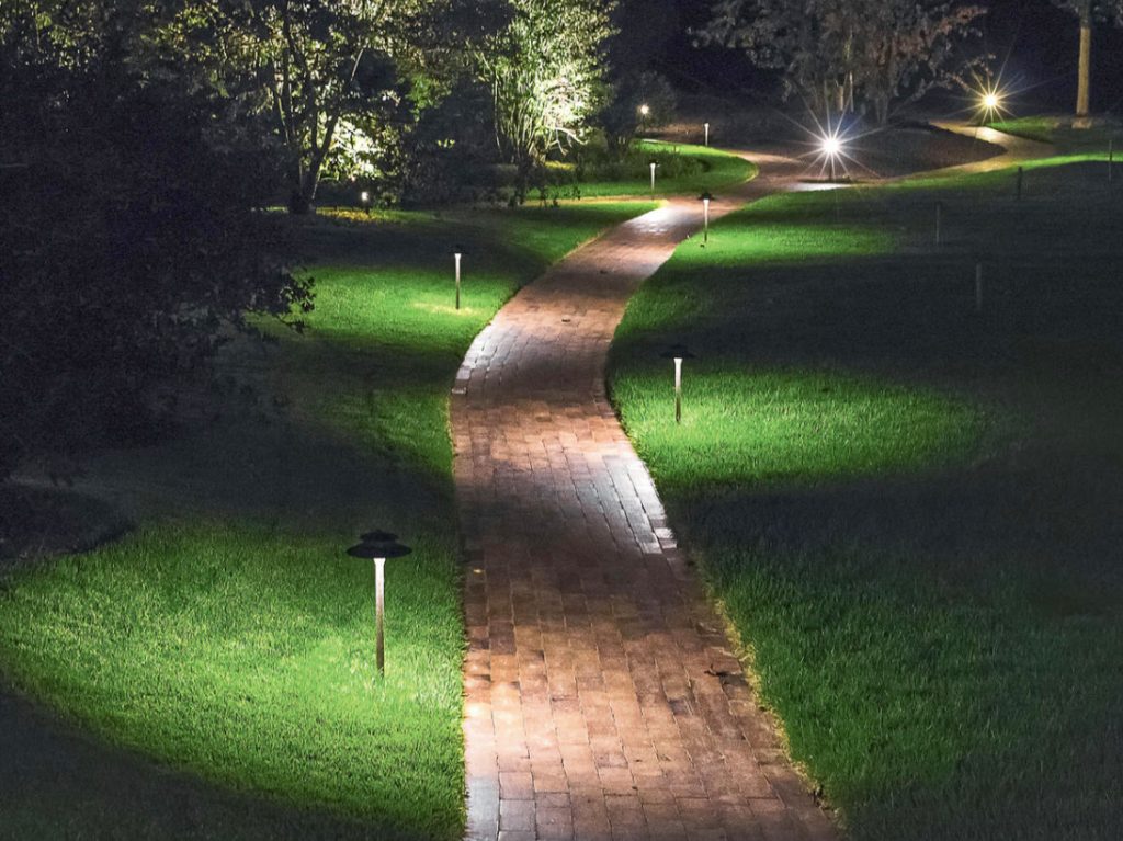 How To Take Photos In The Dark? All The Secrets Of Night Garden ...